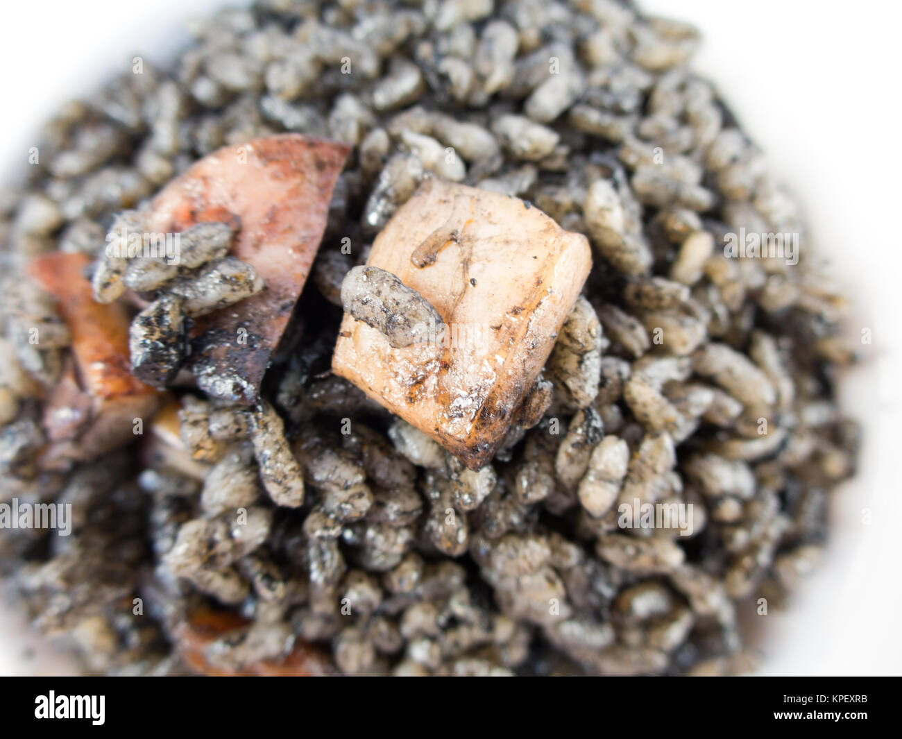 Black paella or arros negre hi-res stock photography and images - Alamy