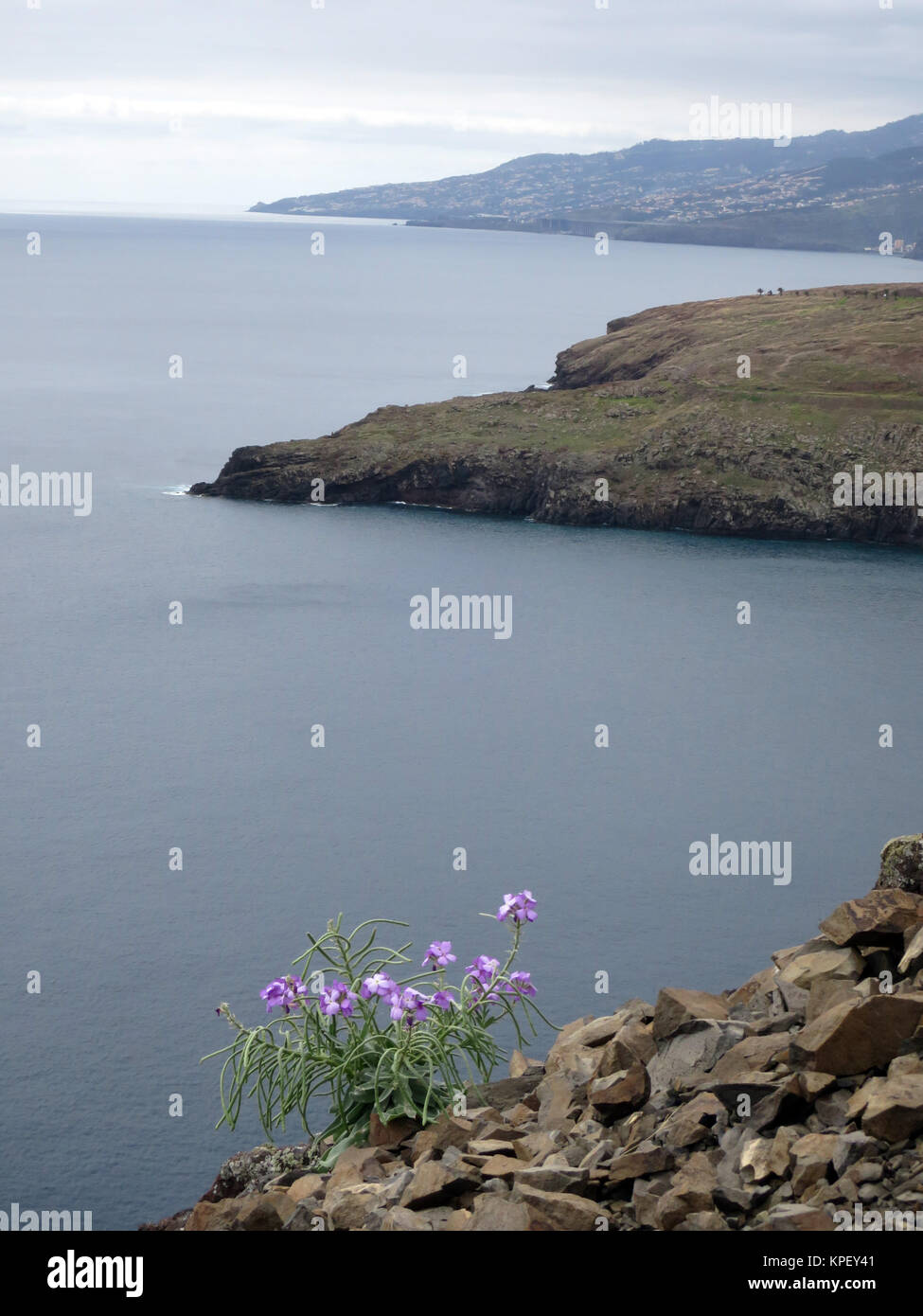 Wanderung auf der Halbinsel Ponta de Lourenco, Canical, Madeira ...