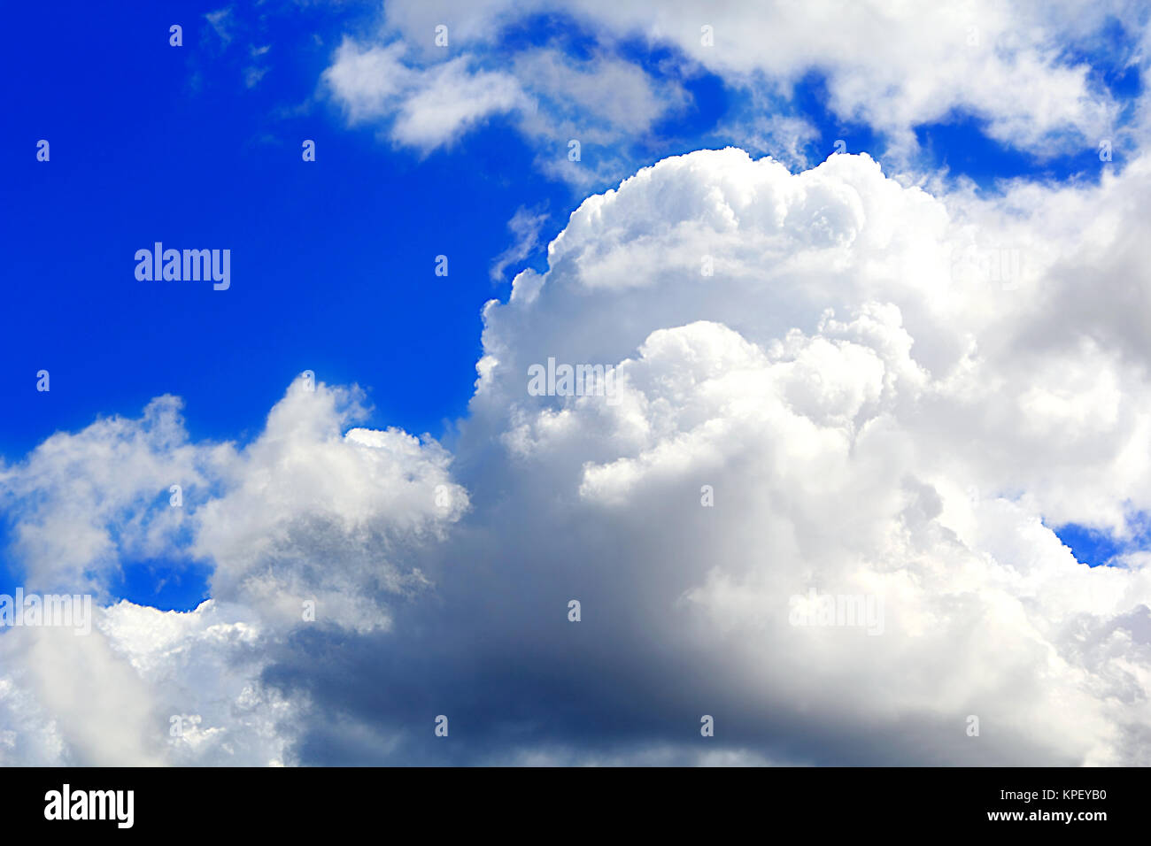Canopy of heaven hi-res stock photography and images - Alamy