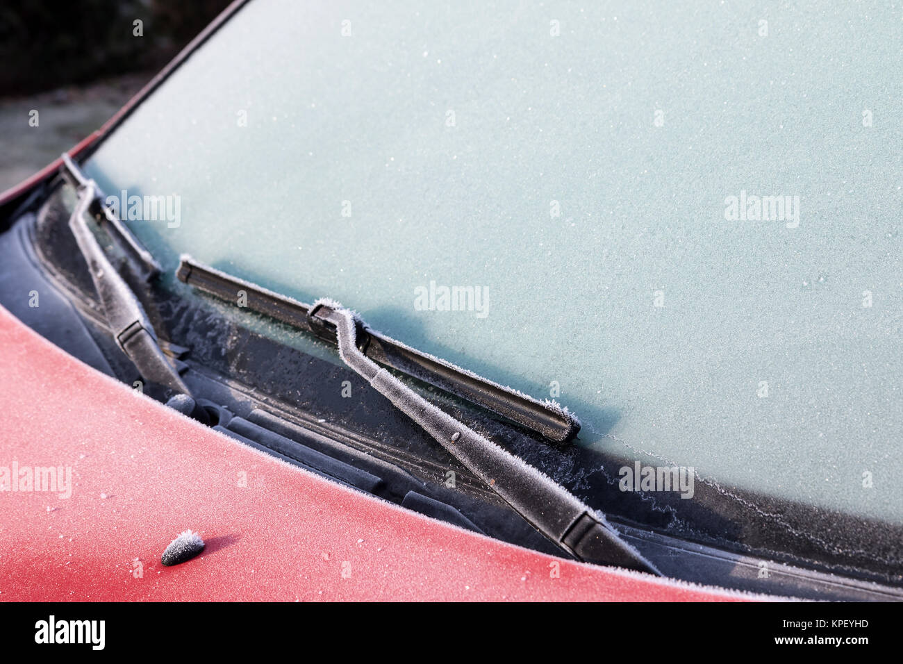 Frozen windshield of the red car closeup Stock Photo - Alamy