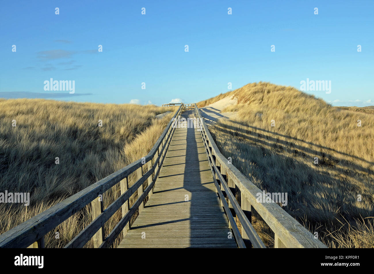 Wooden plank bridge Stock Photo - Alamy