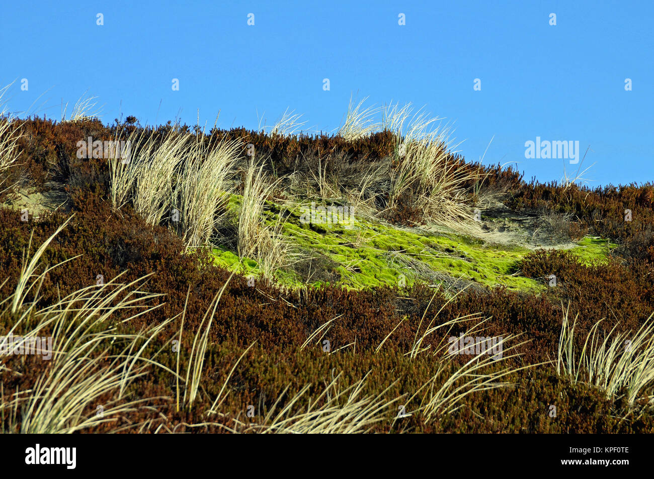 Dune chain hi-res stock photography and images - Alamy