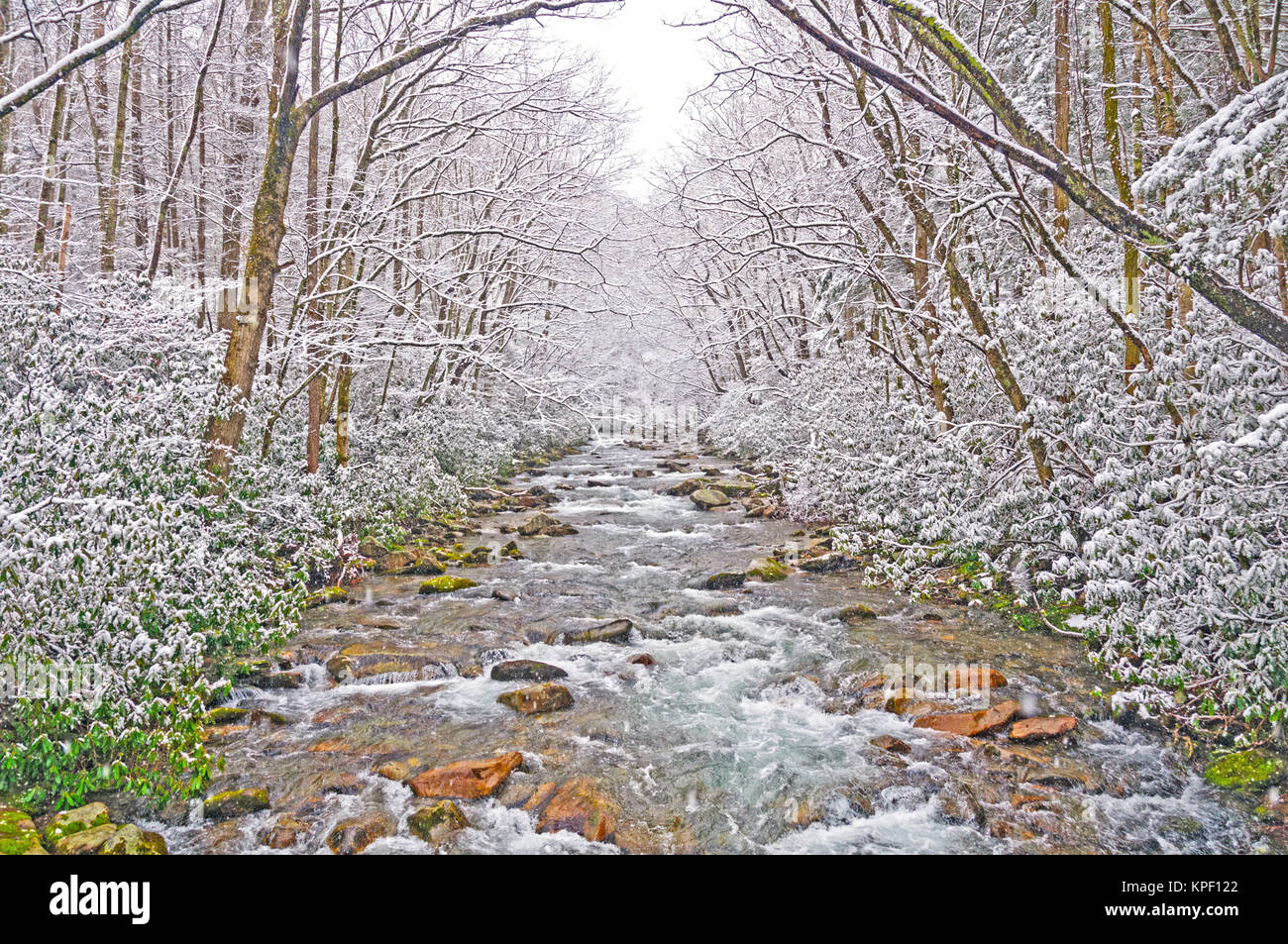 Big creek great smoky mountains national park hi-res stock photography ...