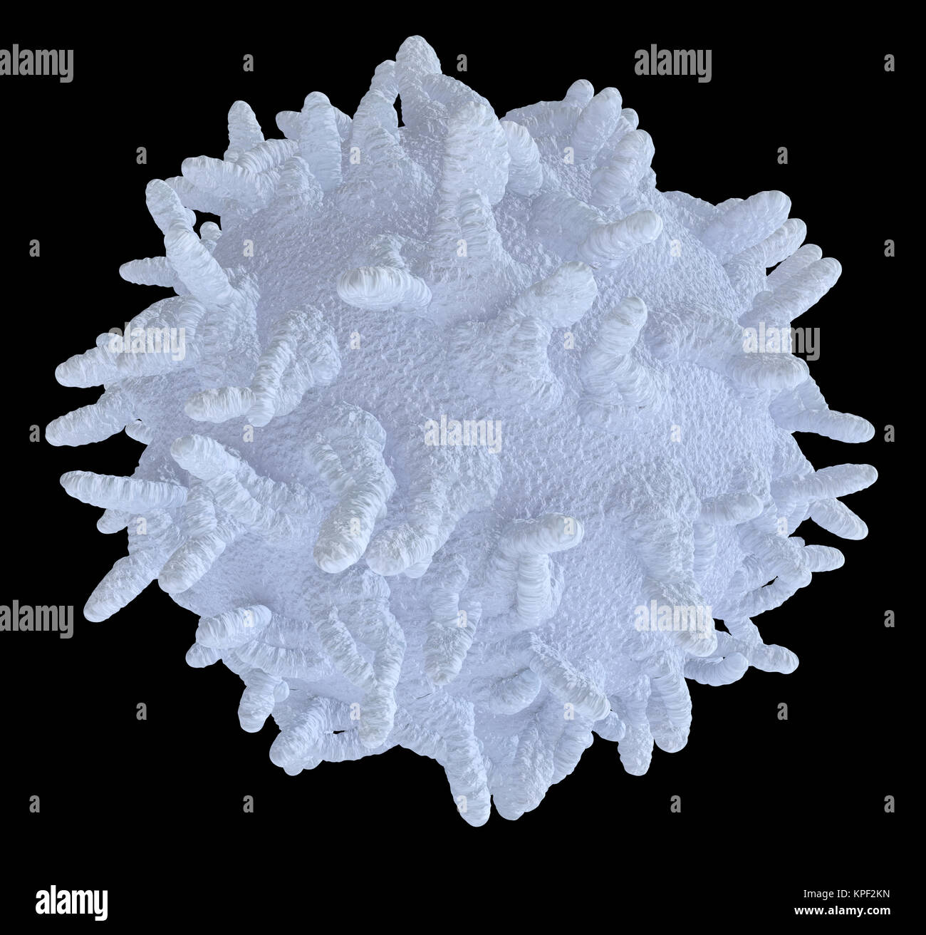 white blood cell Stock Photo - Alamy