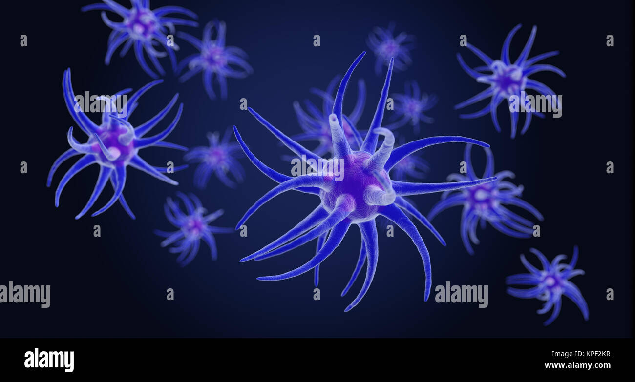 under the microscope, neurons Stock Photo - Alamy