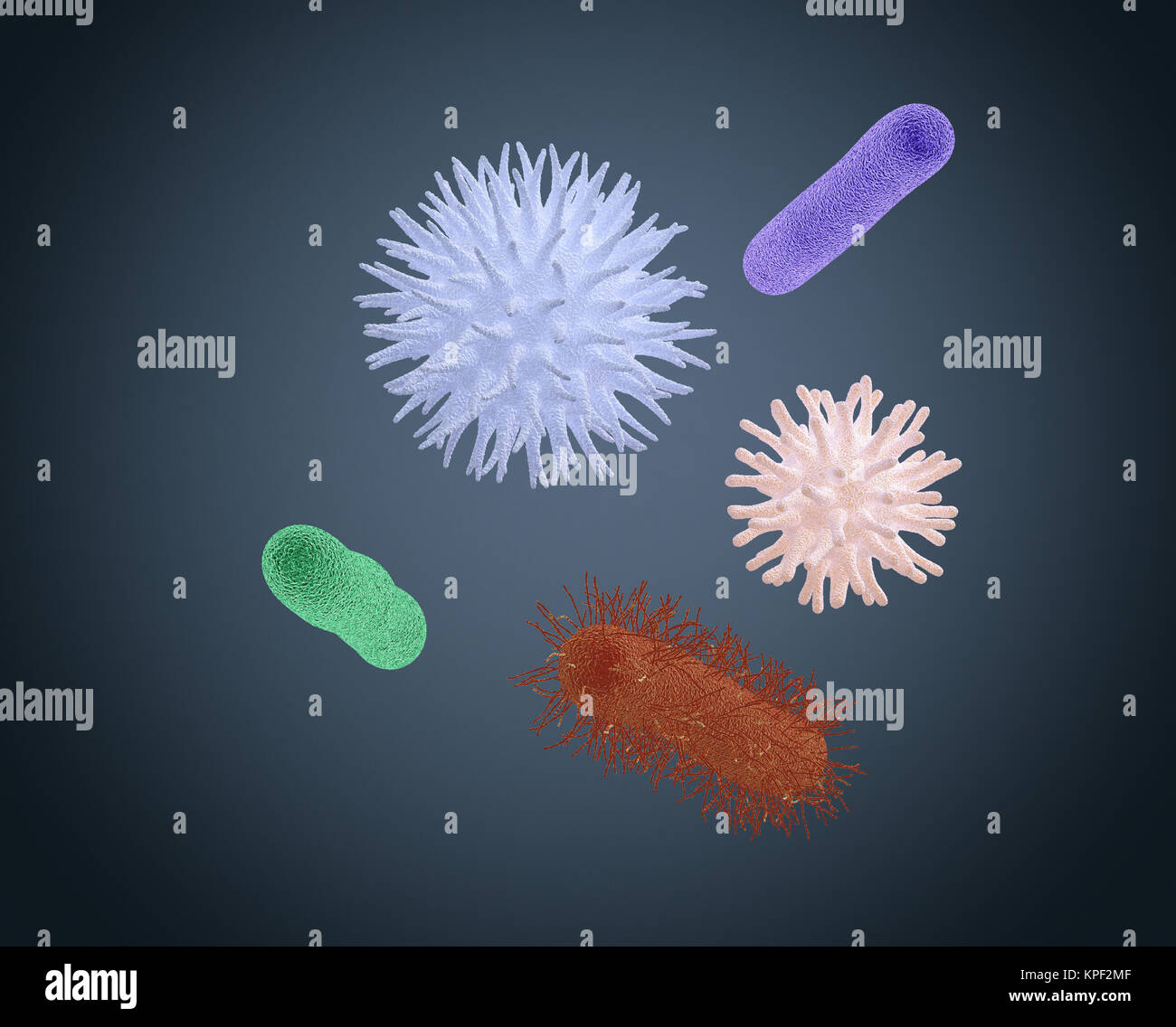 under the microscope, bacteria Stock Photo - Alamy