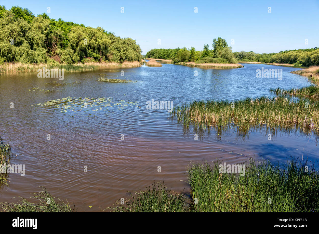 Nice landscape with lake Stock Photo - Alamy