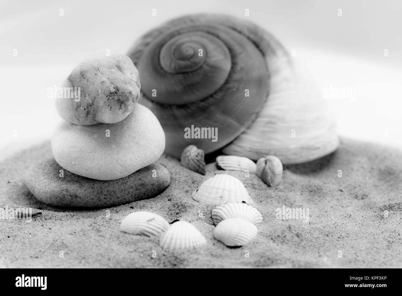 Collect sand Black and White Stock Photos & Images - Alamy