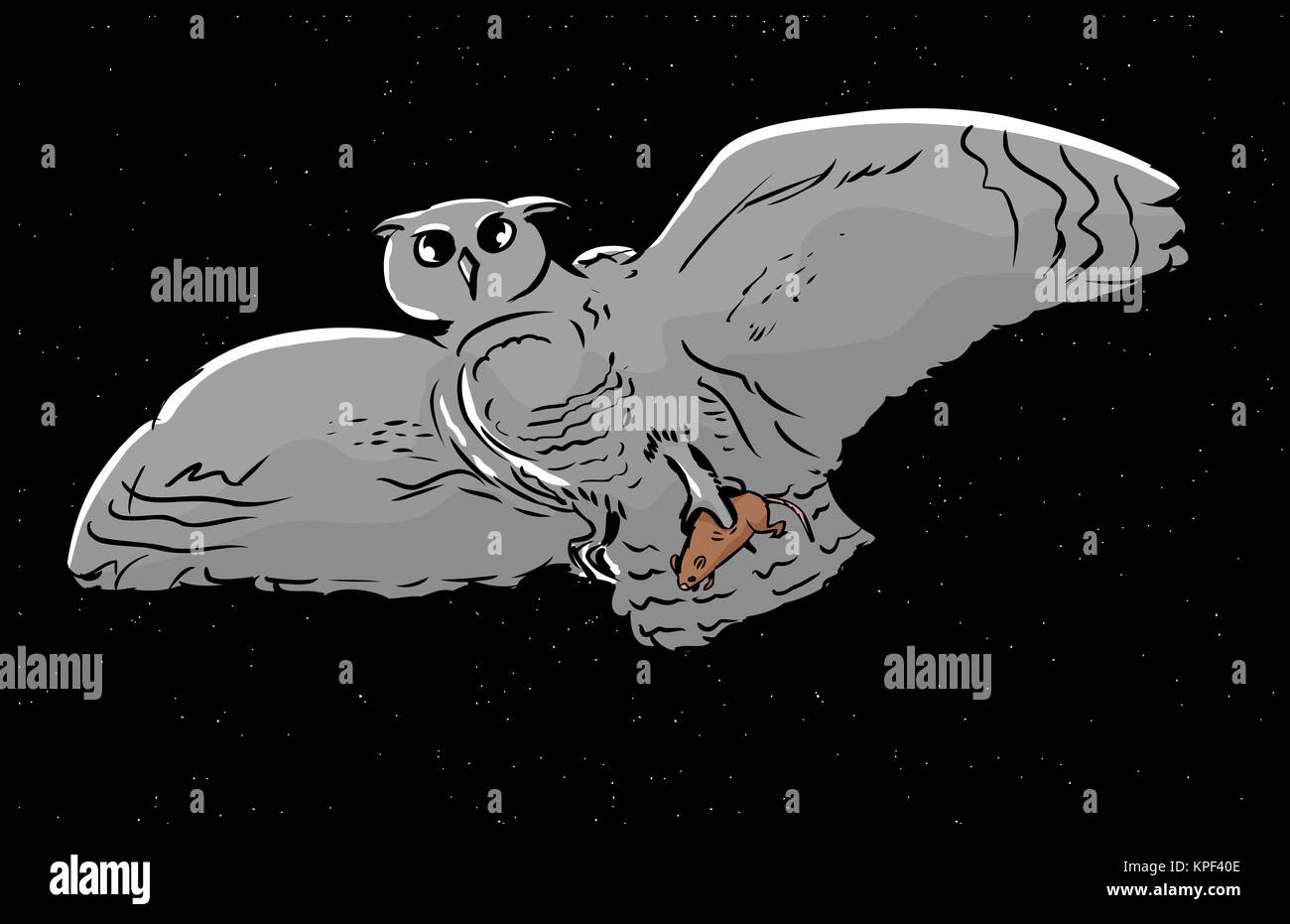 Owl with Rat at Night Stock Photo - Alamy