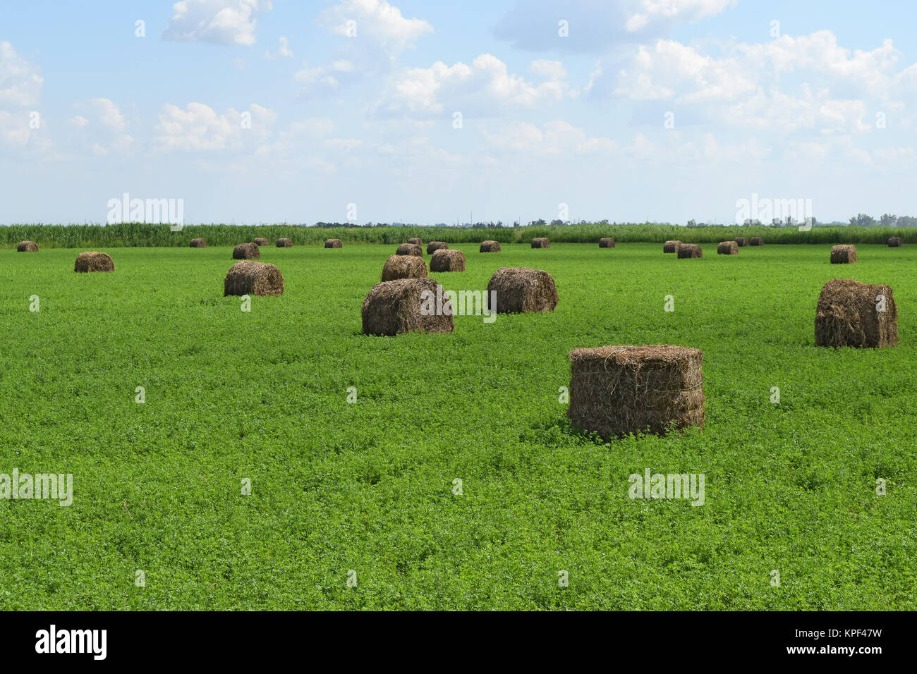 Hay bales sloping field hi-res stock photography and images - Alamy