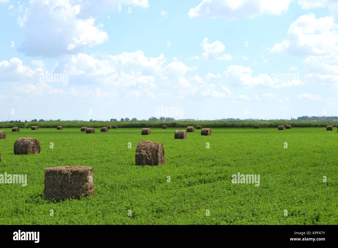 Hay bales sloping field hi-res stock photography and images - Alamy