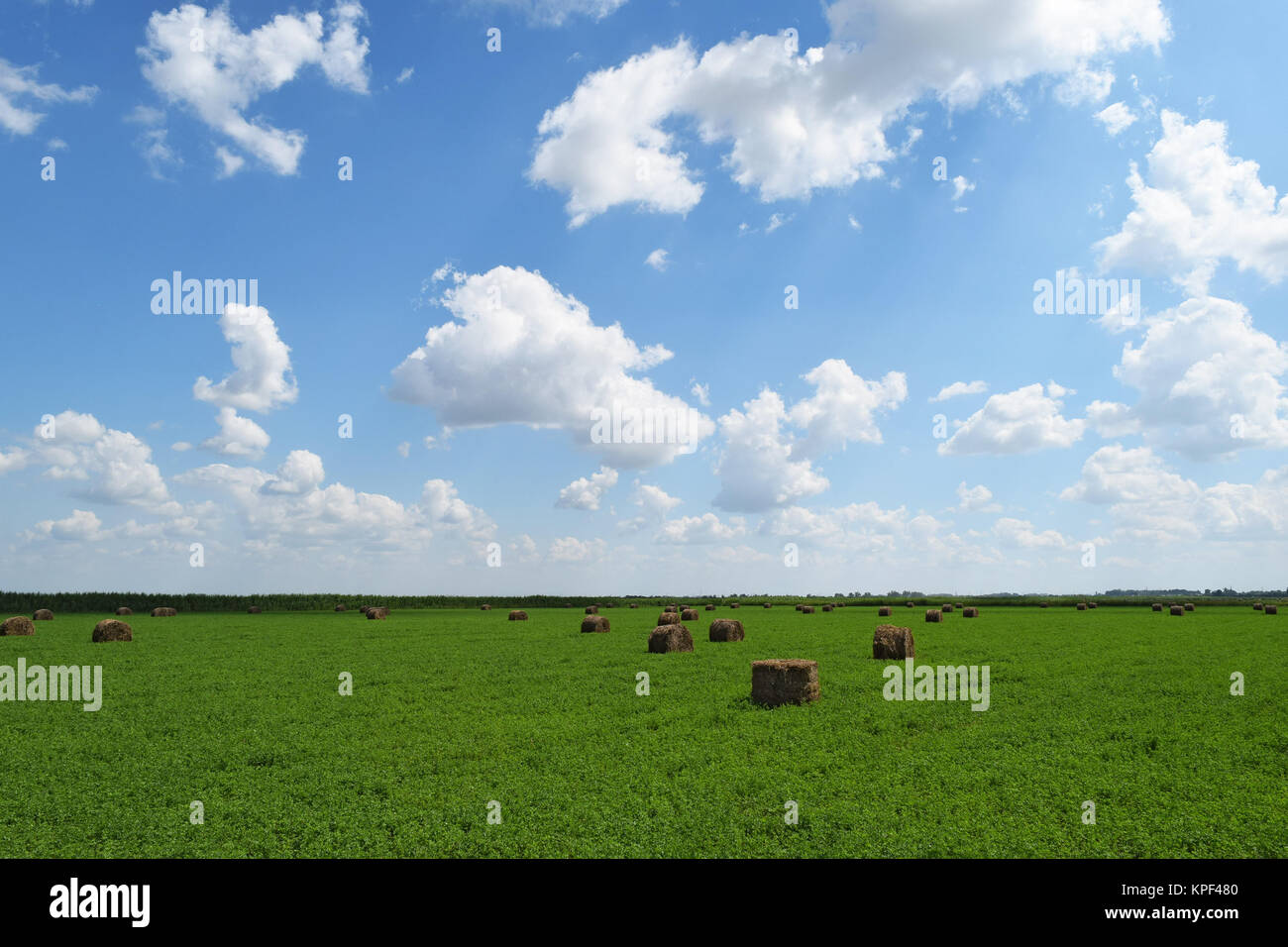 Hay bales sloping field hi-res stock photography and images - Alamy
