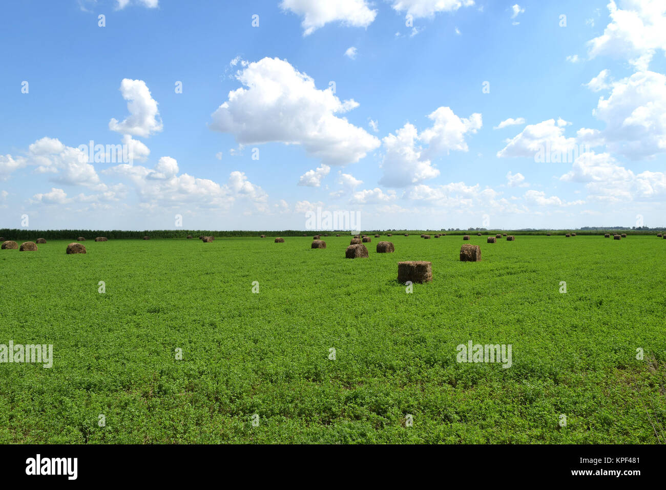 Hay bales sloping field hi-res stock photography and images - Alamy