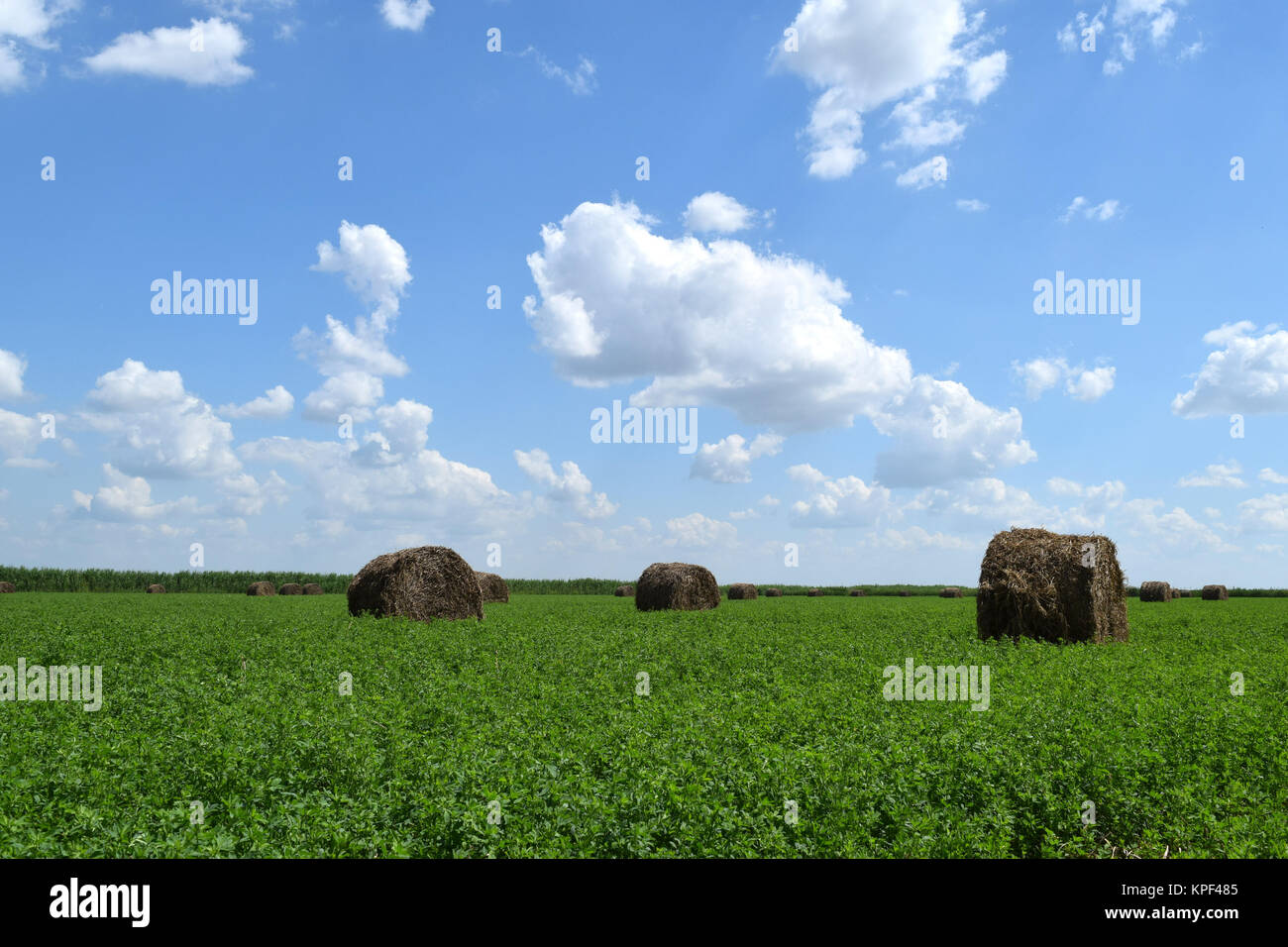 Hay bales sloping field hi-res stock photography and images - Alamy