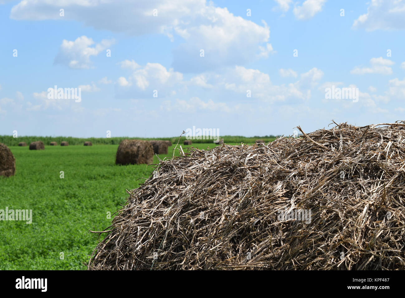 Hay bales sloping field hi-res stock photography and images - Alamy