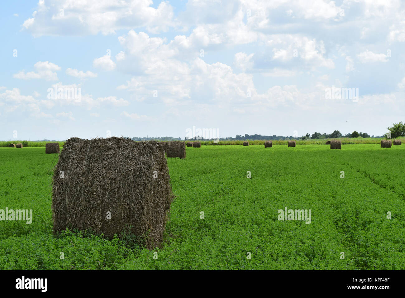 Hay bales sloping field hi-res stock photography and images - Alamy