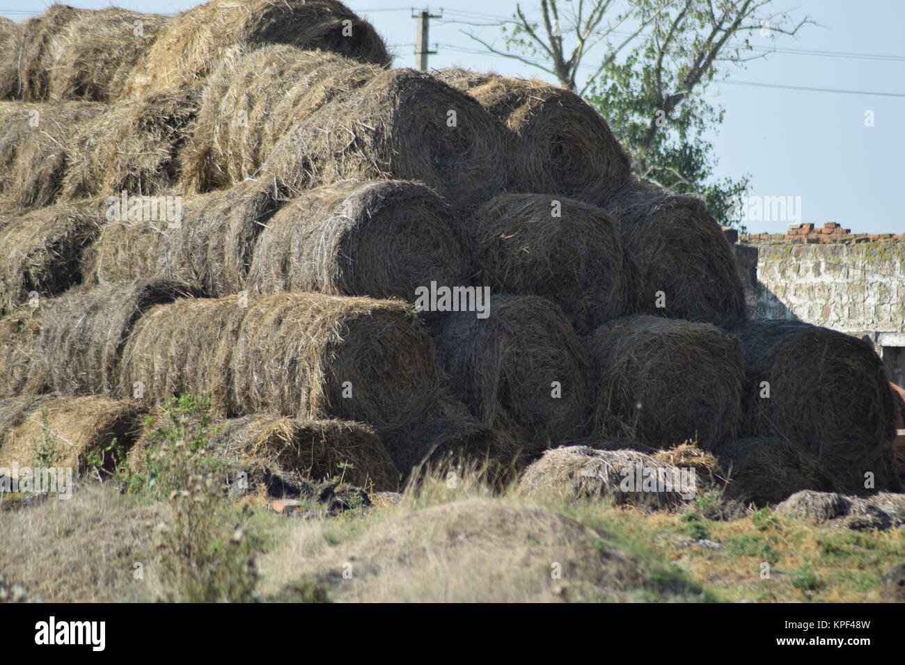 Haystacks in the field Stock Photo - Alamy