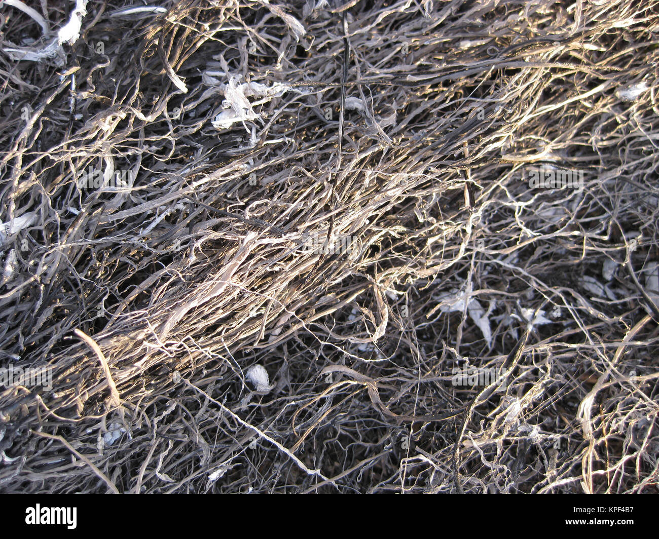 Background from the ashes of the burnt grass Stock Photo - Alamy