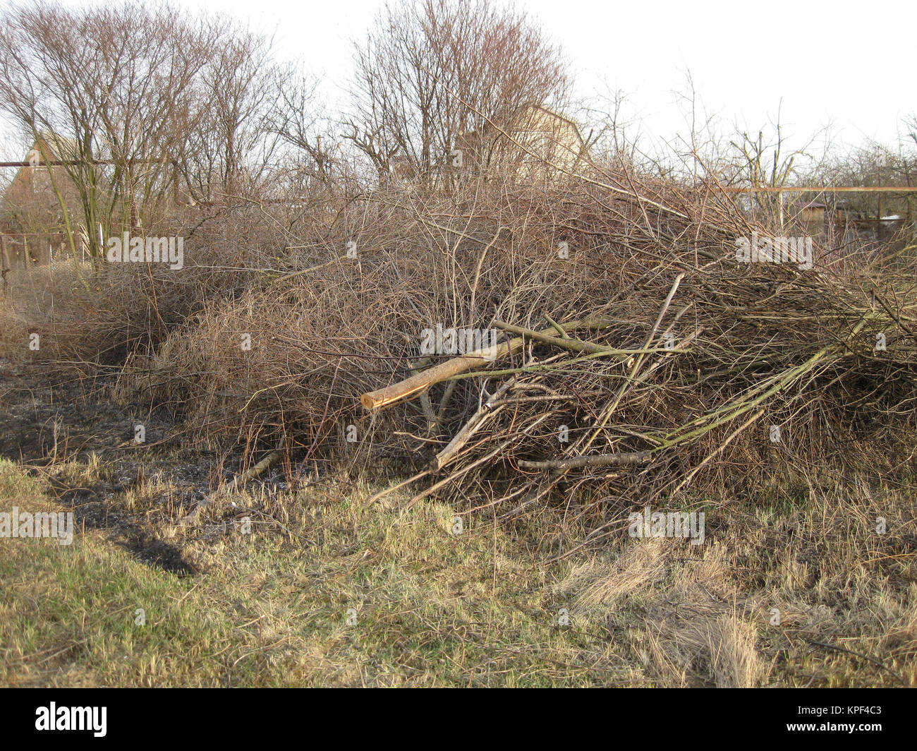 Tree trimming tree branches pile hi-res stock photography and images ...