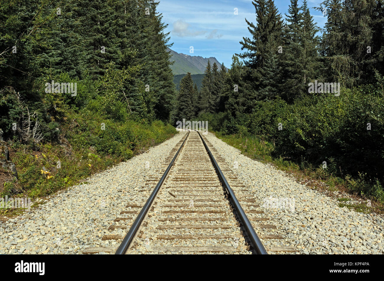 Railroad Tracks in a Remote Wilderness Stock Photo - Alamy