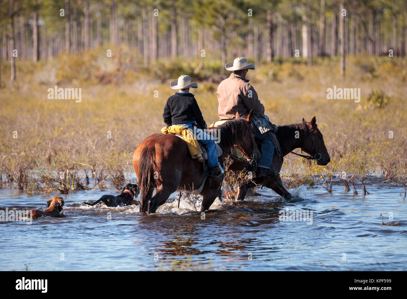 Lafayette louisiana hi-res stock photography and images - Alamy