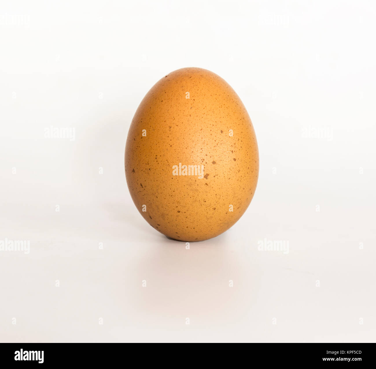 egg on white background Stock Photo - Alamy