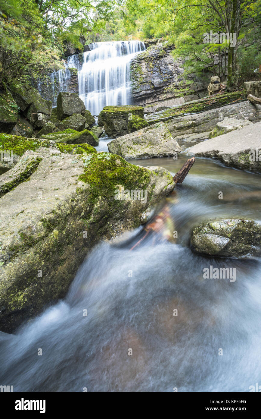 Stream Flowing Through Rocks in forest Stock Photo - Alamy