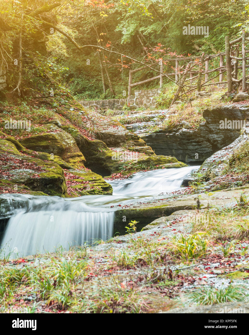 Stream Flowing Through Rocks in forest Stock Photo - Alamy
