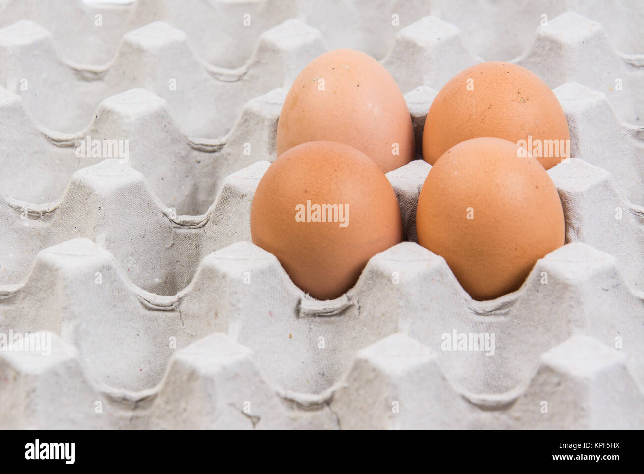 Egg in an egg crate on white background Stock Photo - Alamy