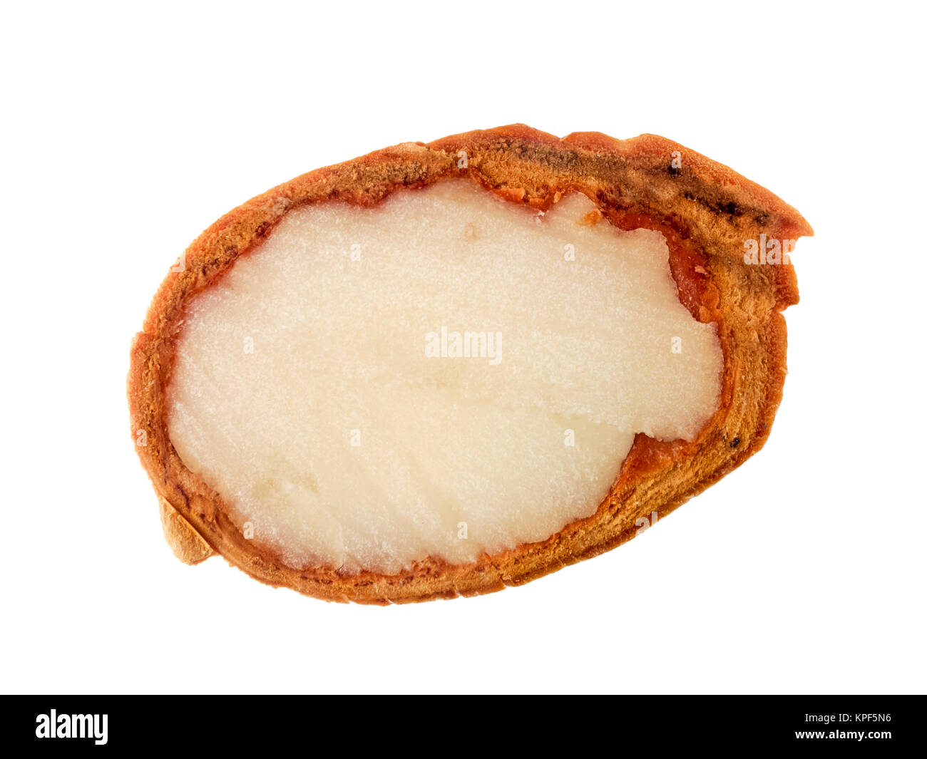 Cross section through the nut of a horse-chestnut on white background ...