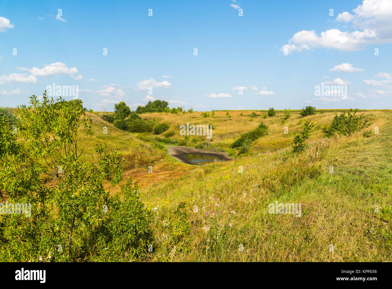 A Steppe landscape with a drying pond Stock Photo - Alamy