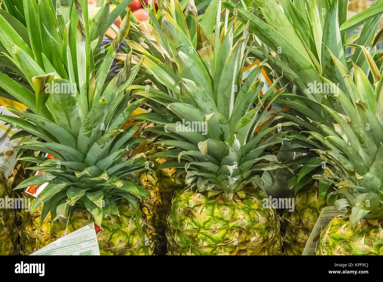Pineapple series hi-res stock photography and images - Alamy