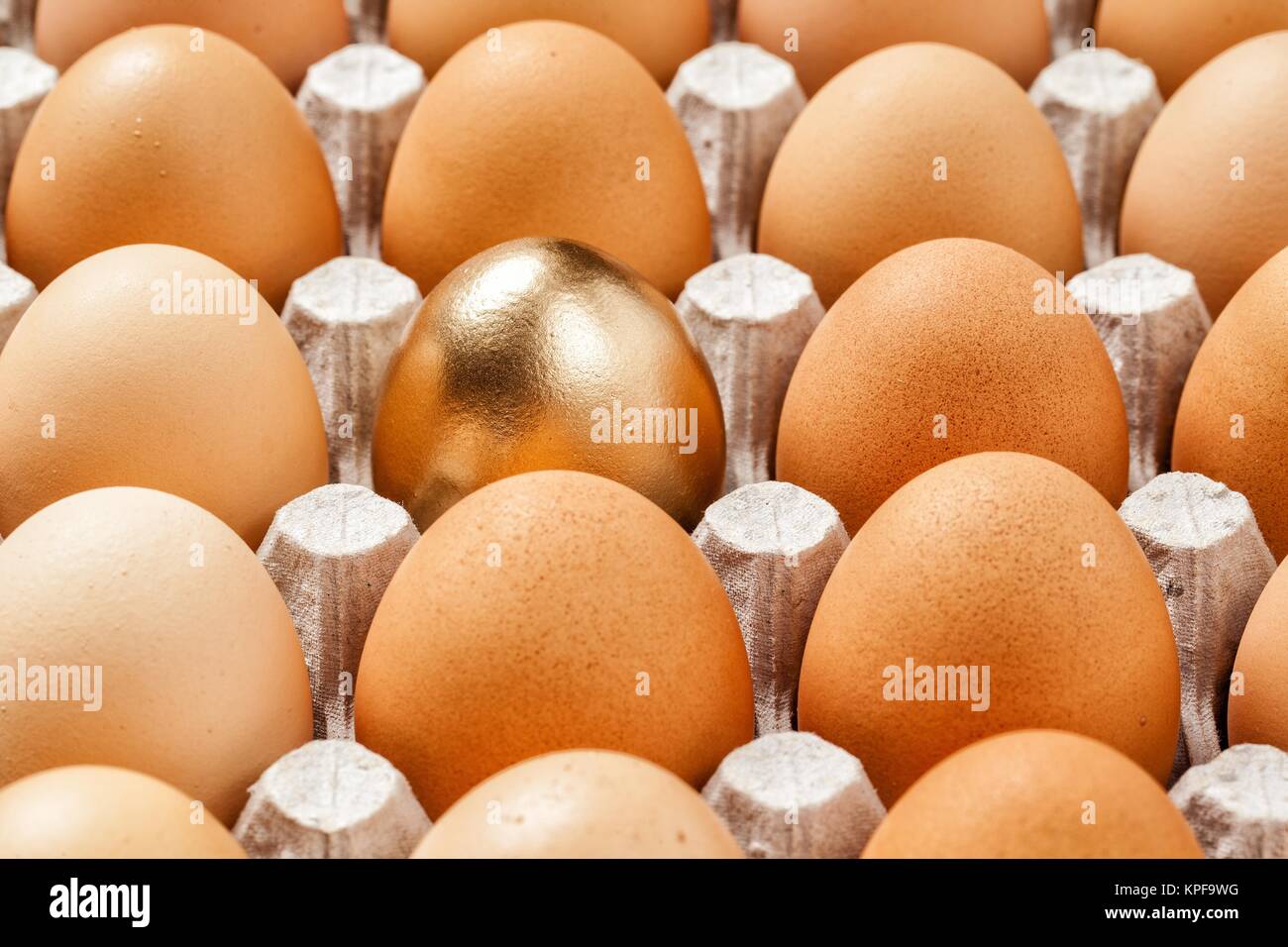 golden egg in a row of the brown eggs Stock Photo - Alamy
