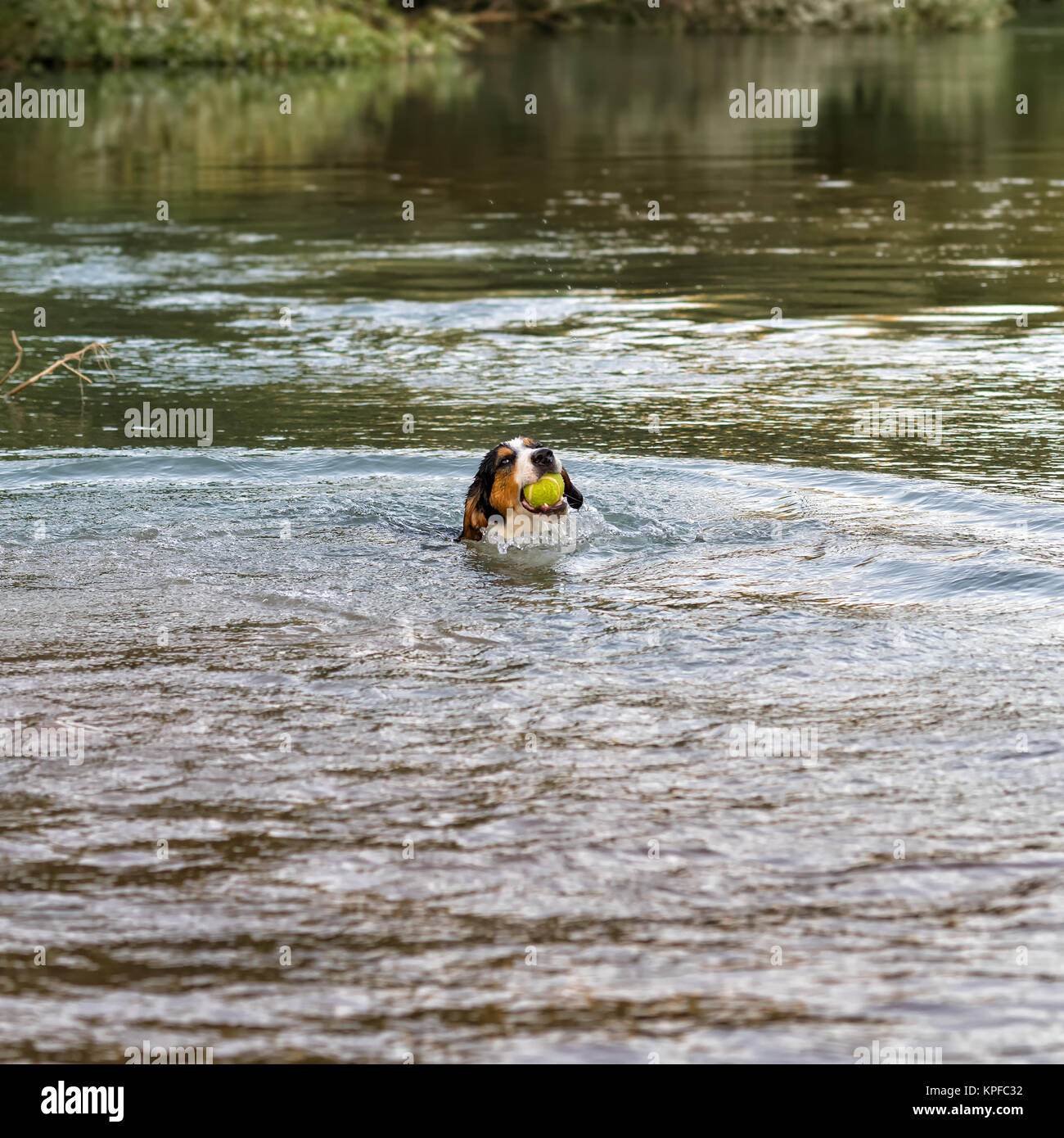 Alfeios greece hi-res stock photography and images - Alamy