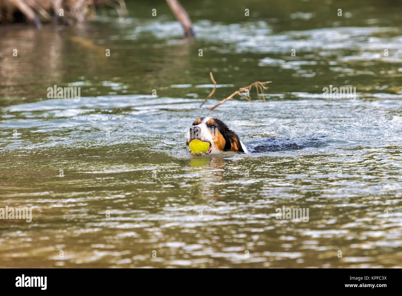 Alfeios greece hi-res stock photography and images - Alamy