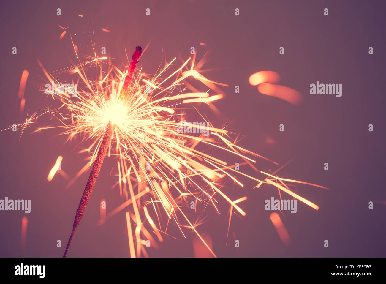 Hot bengal on black background Stock Photo - Alamy