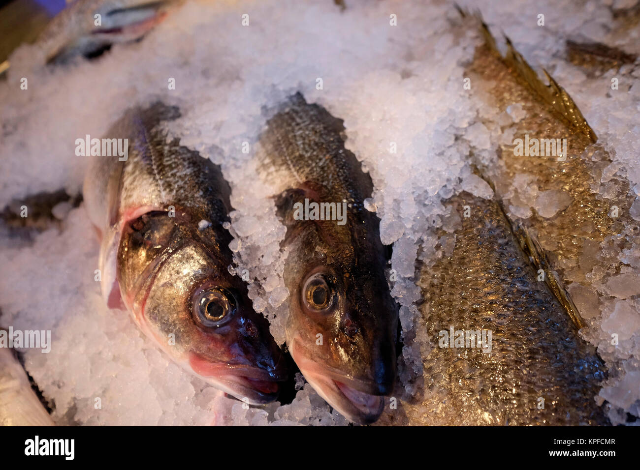 fish on ice Stock Photo - Alamy