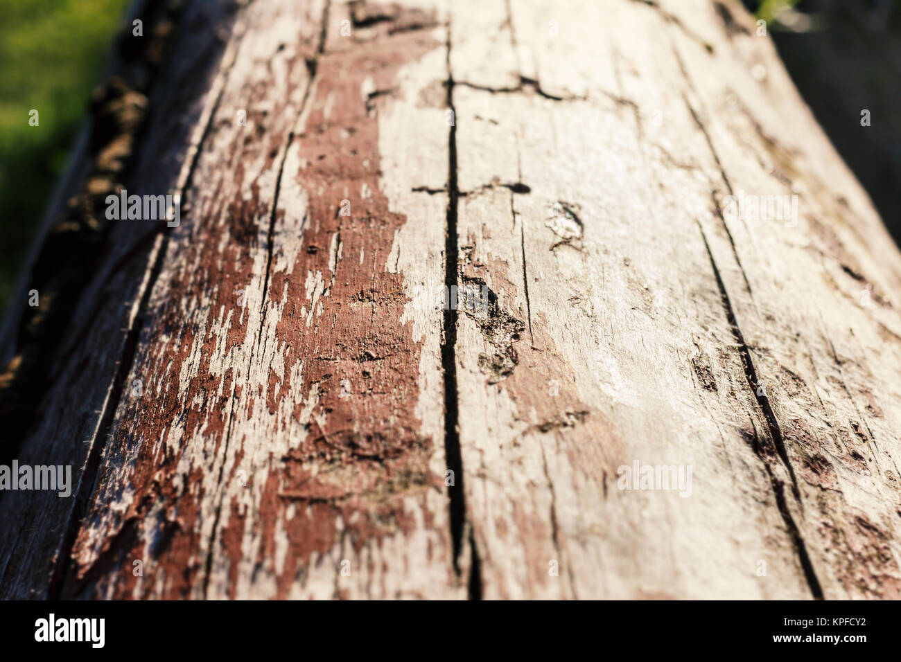 Log with paint hi-res stock photography and images - Alamy