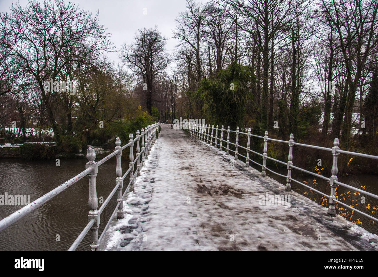 bridge, snow forest, garden, snowing day, brugge, bruges, flanders ...