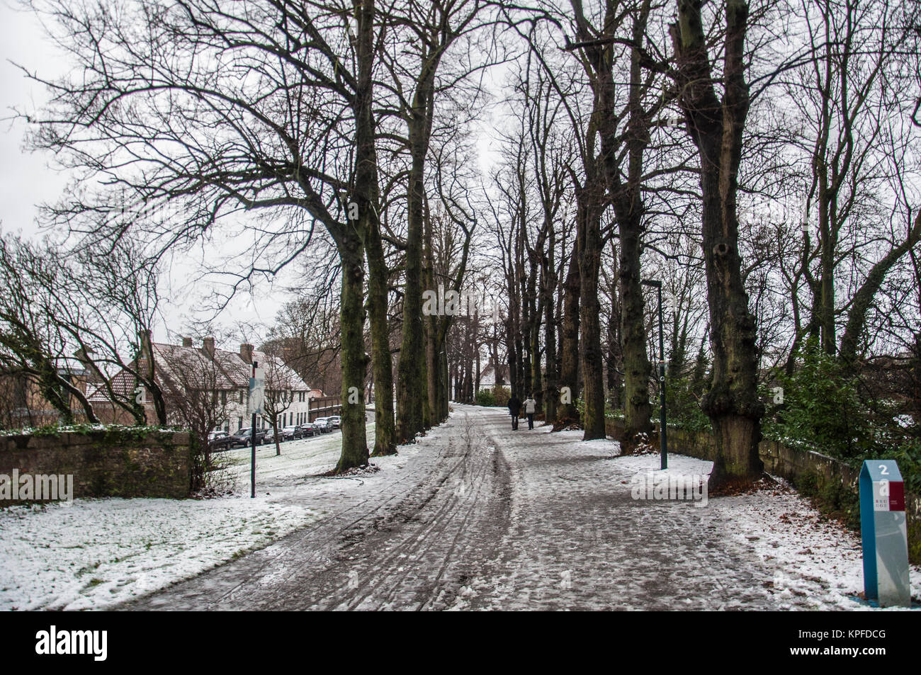 Bruges forest hi-res stock photography and images - Alamy