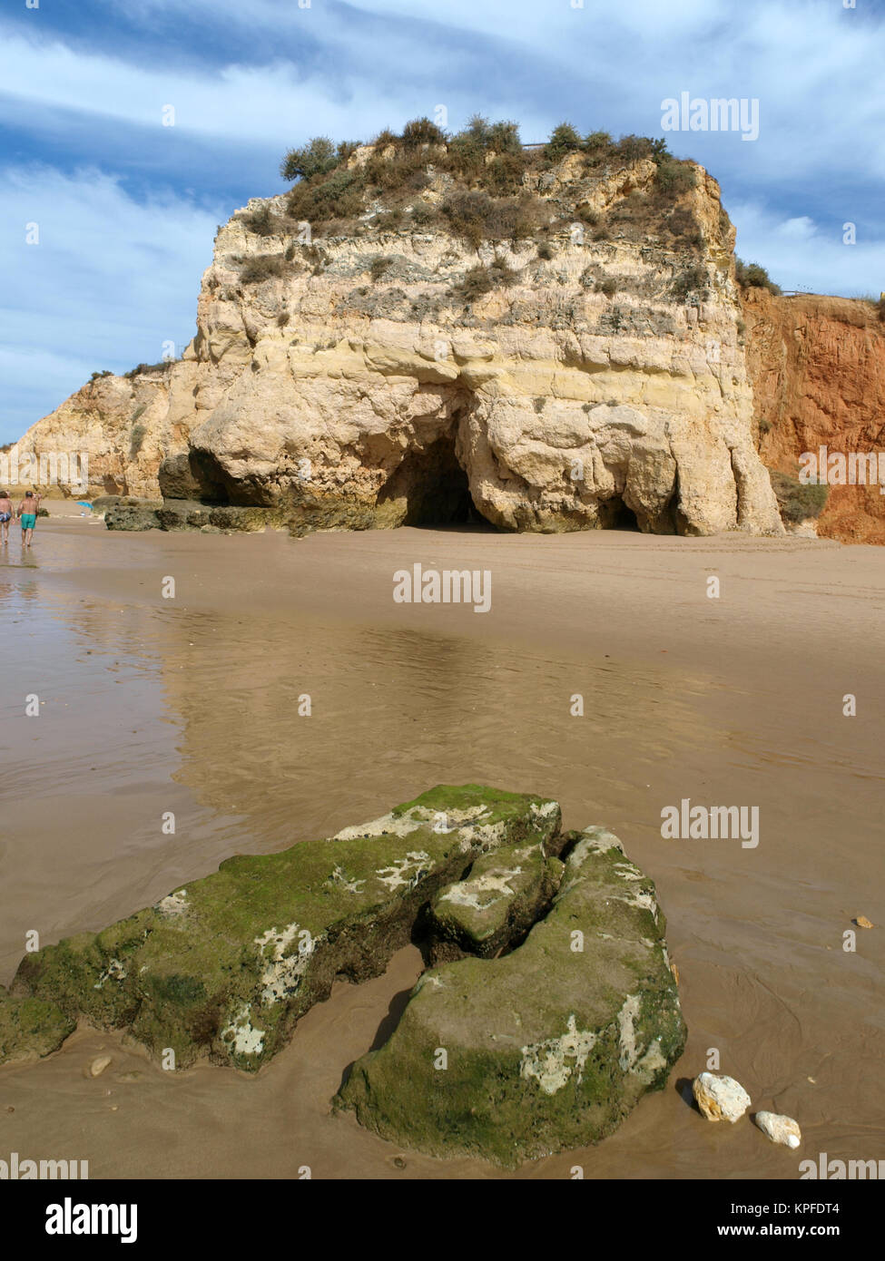 A section of the idyllic Praia de Rocha beach on the Algarve region ...