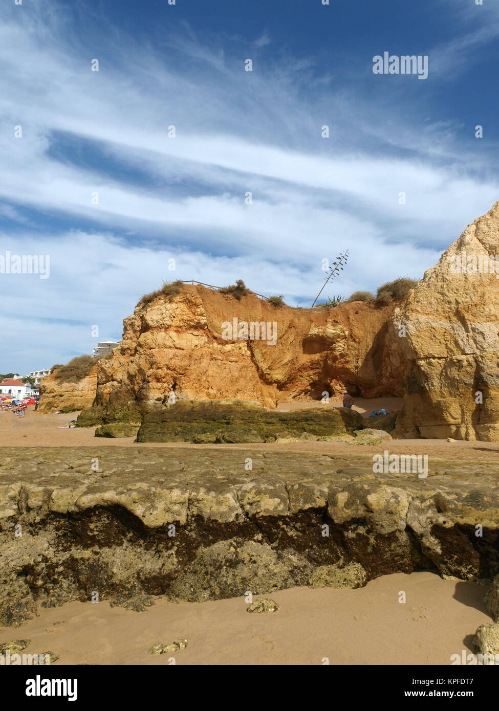 A section of the idyllic Praia de Rocha beach on the Algarve region ...