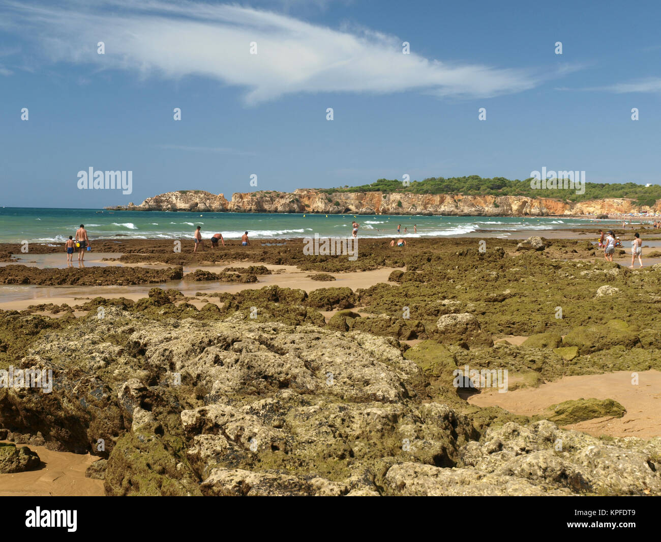 A section of the idyllic Praia de Rocha beach on the Algarve region ...