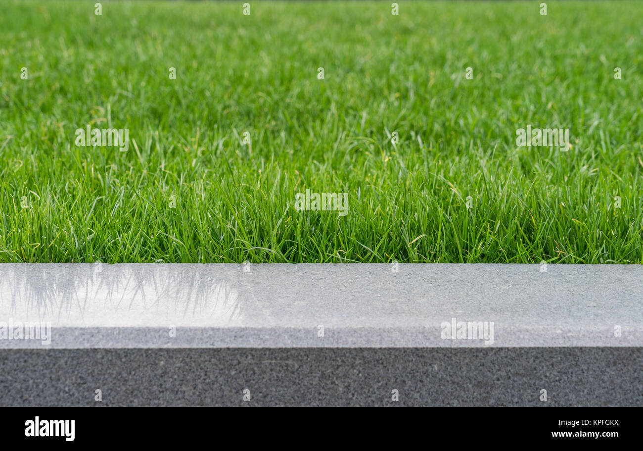 Empty green field in urban central Stock Photo - Alamy