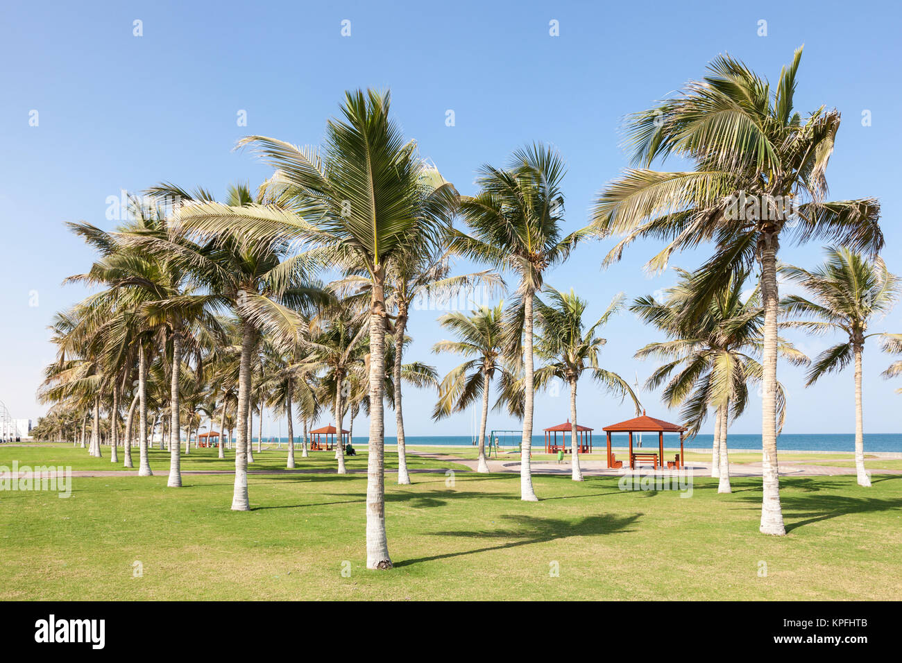 Park with palm trees at the corniche in Seeb. Muscat, Oman, Middle East ...