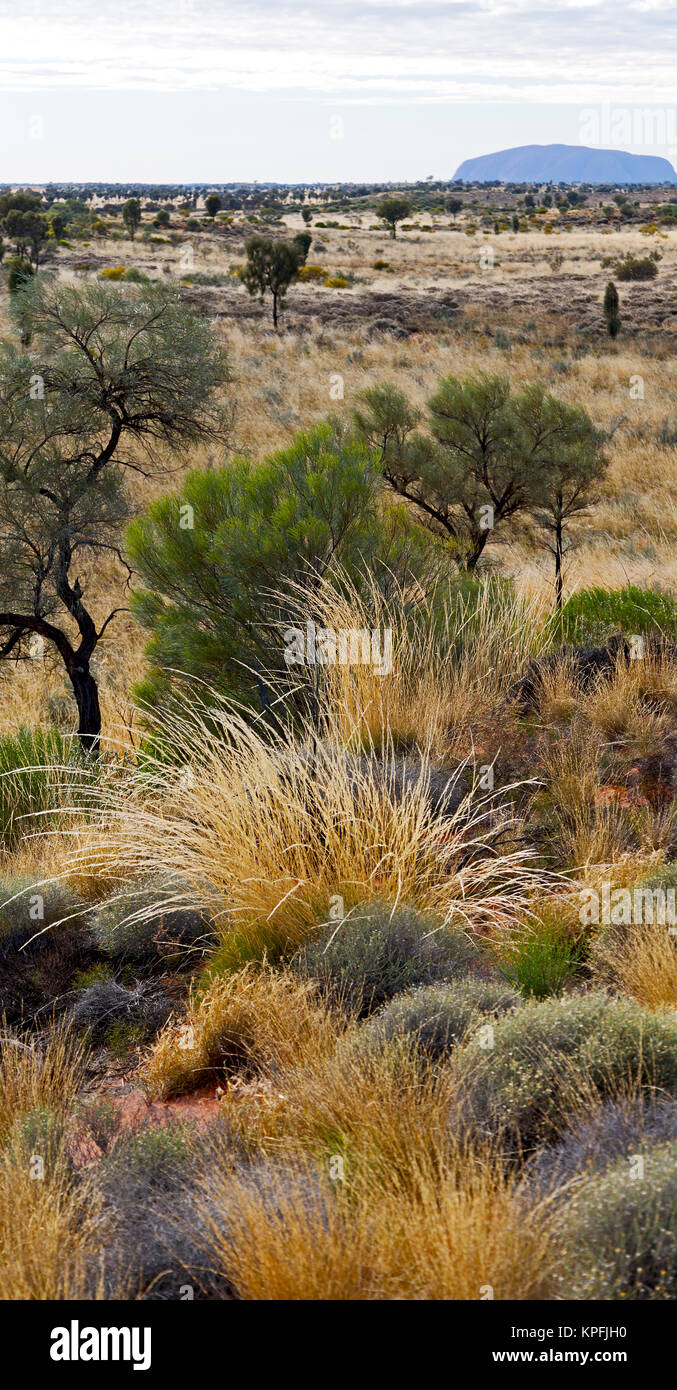 in australia the concept of wilderness environment in the landscape ...