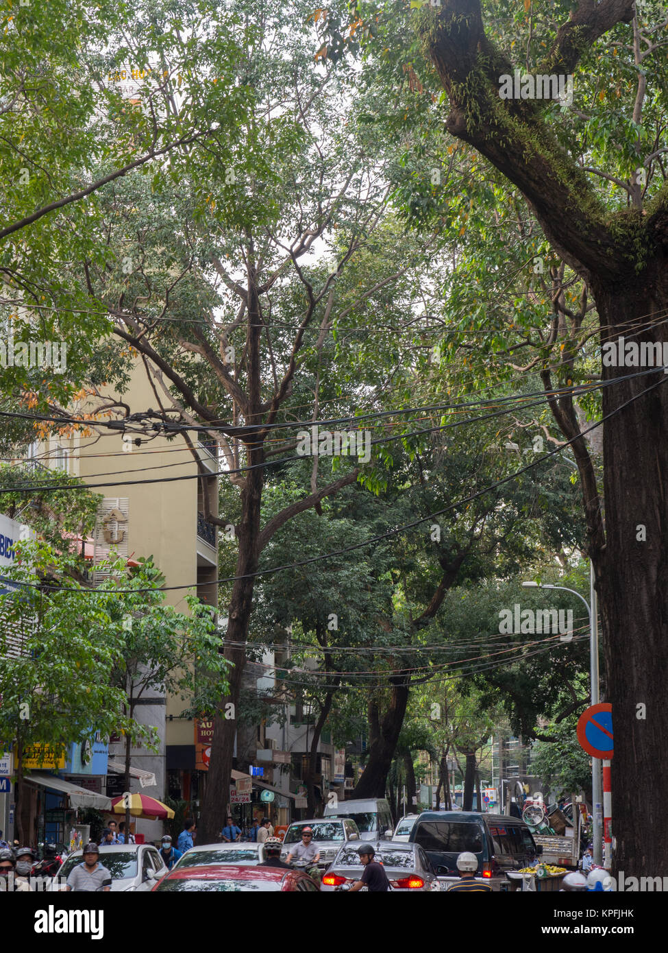 Trees In The City Stock Photo - Alamy