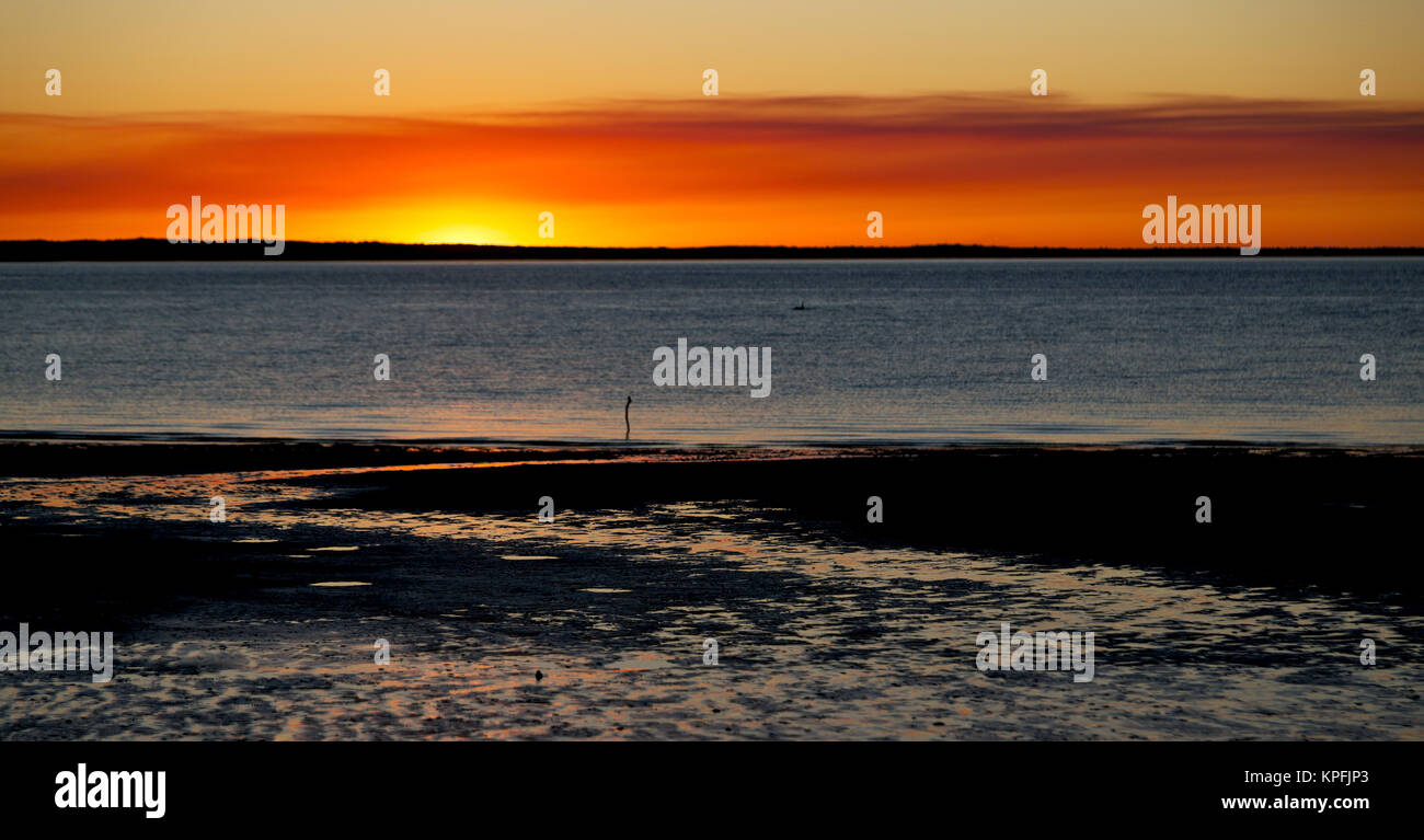 in australia the sunset in the ocean like concept of relax and holiday ...