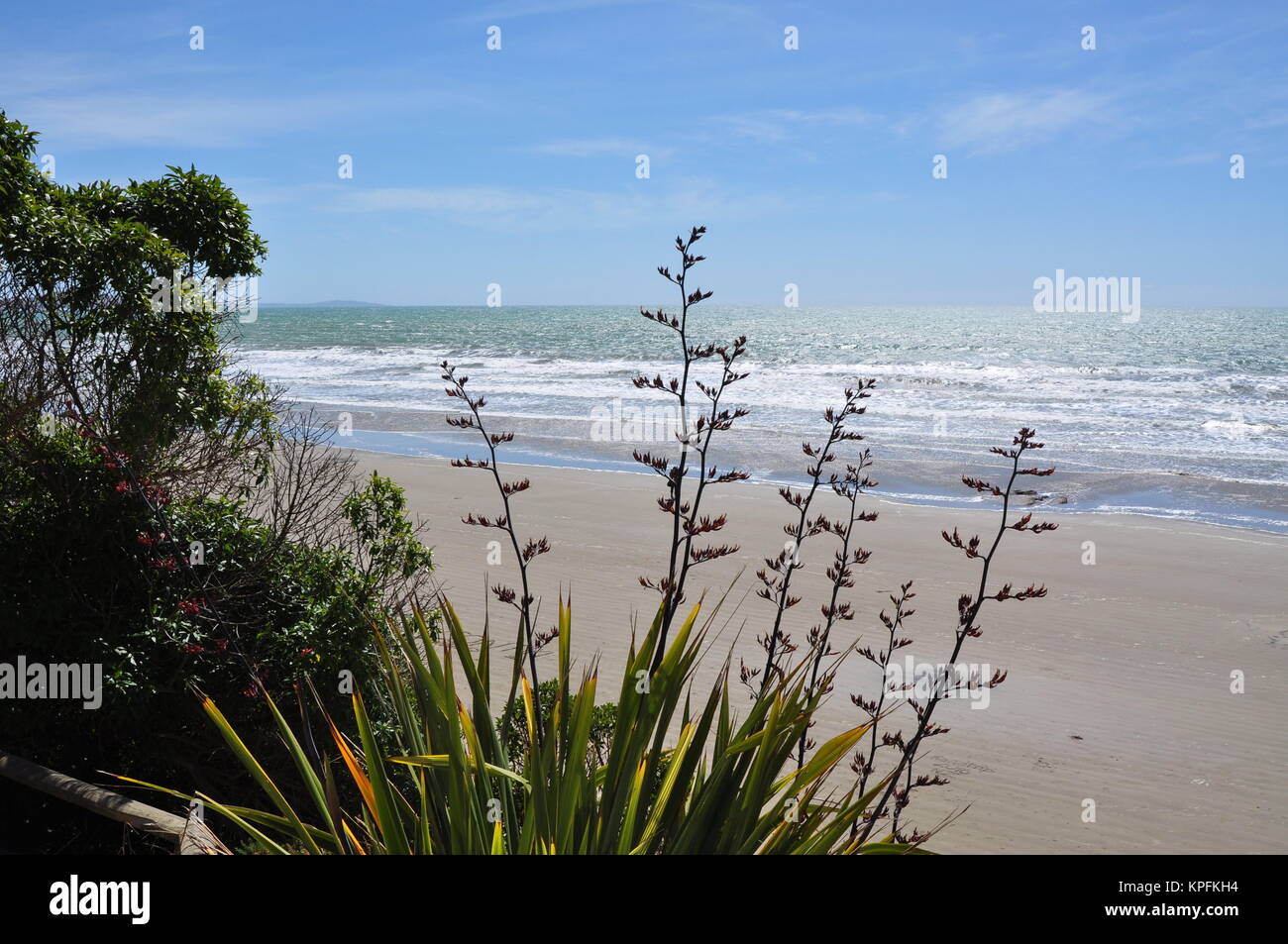 New Zealand,South Island - Moreaki Boulders Beach Stock Photo - Alamy