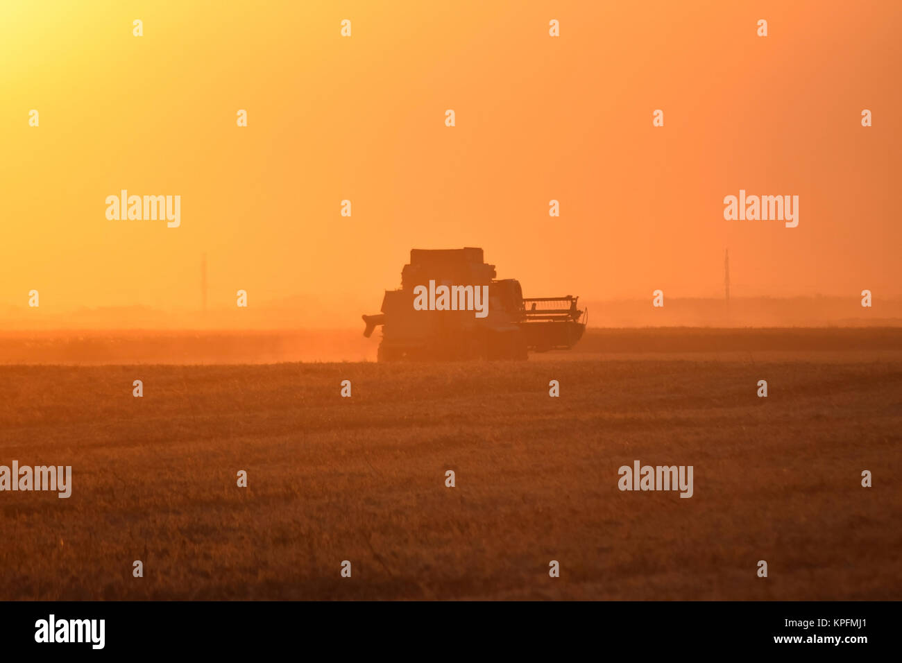 Harvesting by combines at sunset Stock Photo - Alamy